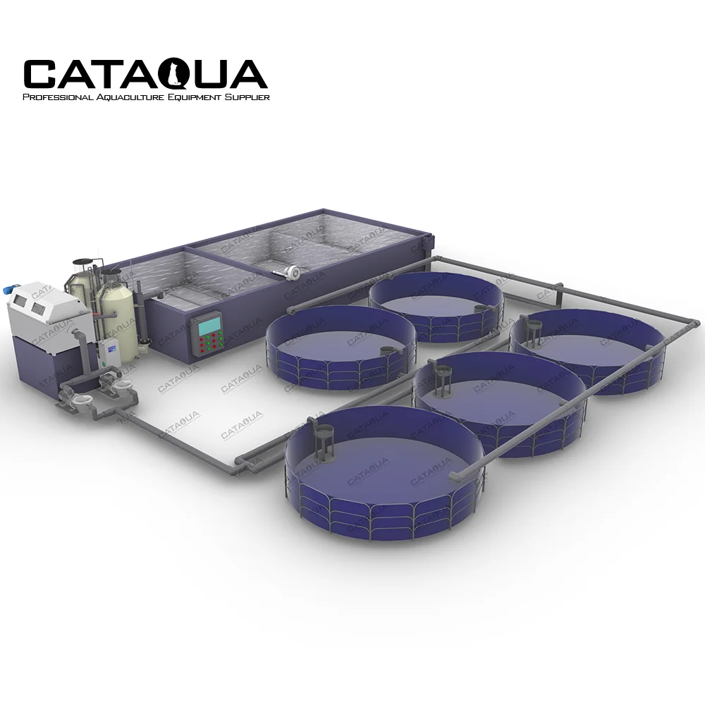 CATAQUA RAS System Vannamei Shrimp Farming Shrimp Farming Equipment ...