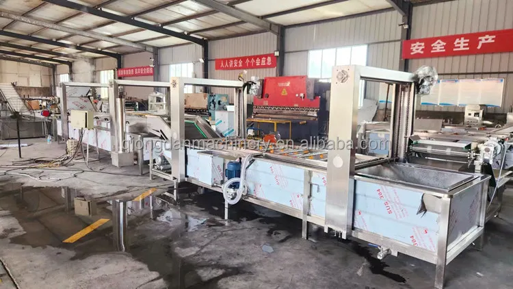 Small Continuous Gas Frying Machine and Conveyor Samosas Fryers ...