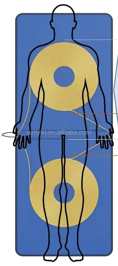 Magnetic PEMF Therapy Device for Horses - Equine Wellness