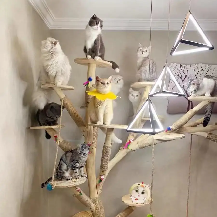 Luxury Pet Wooden Tree Cat Scratcher Sisal Rope Design Scratch Tree ...