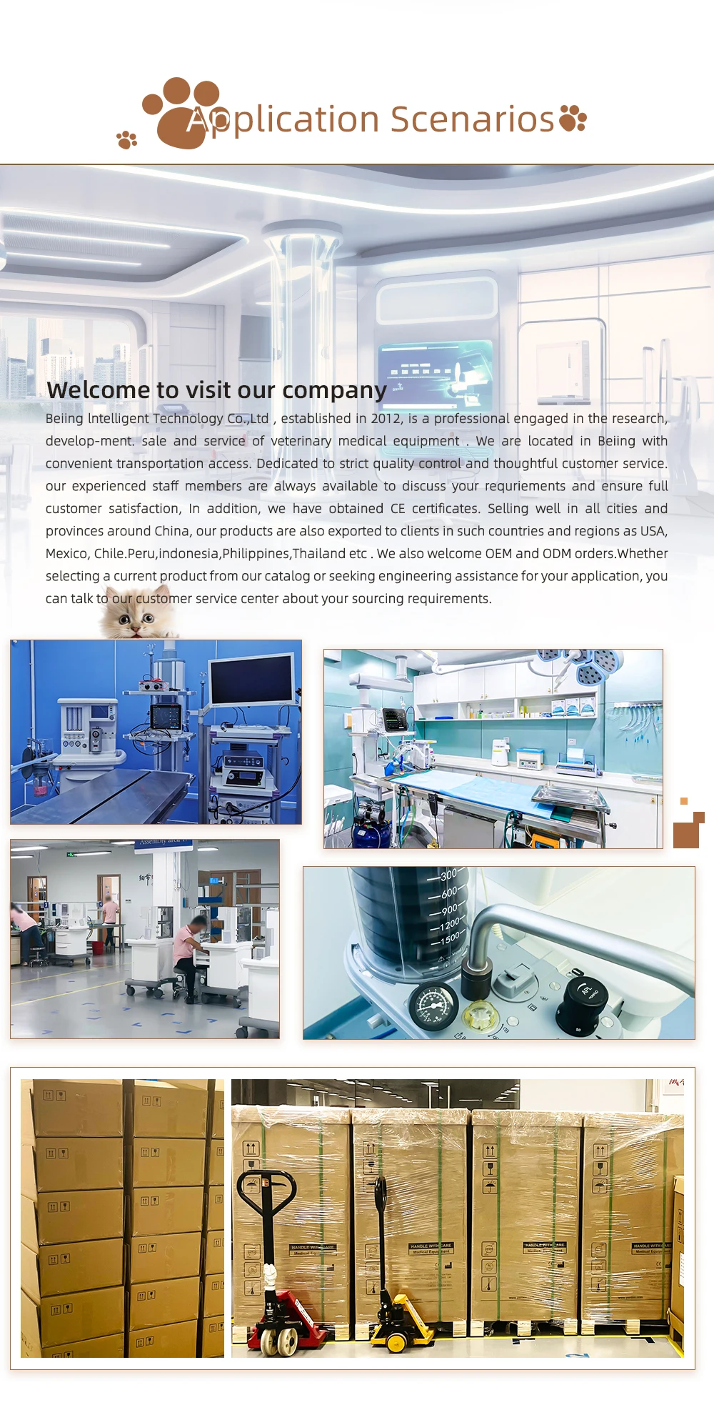 Smart F Vet Animal Portable Ecg Machine 3 Channel 12 Lead Veterinary Or ...