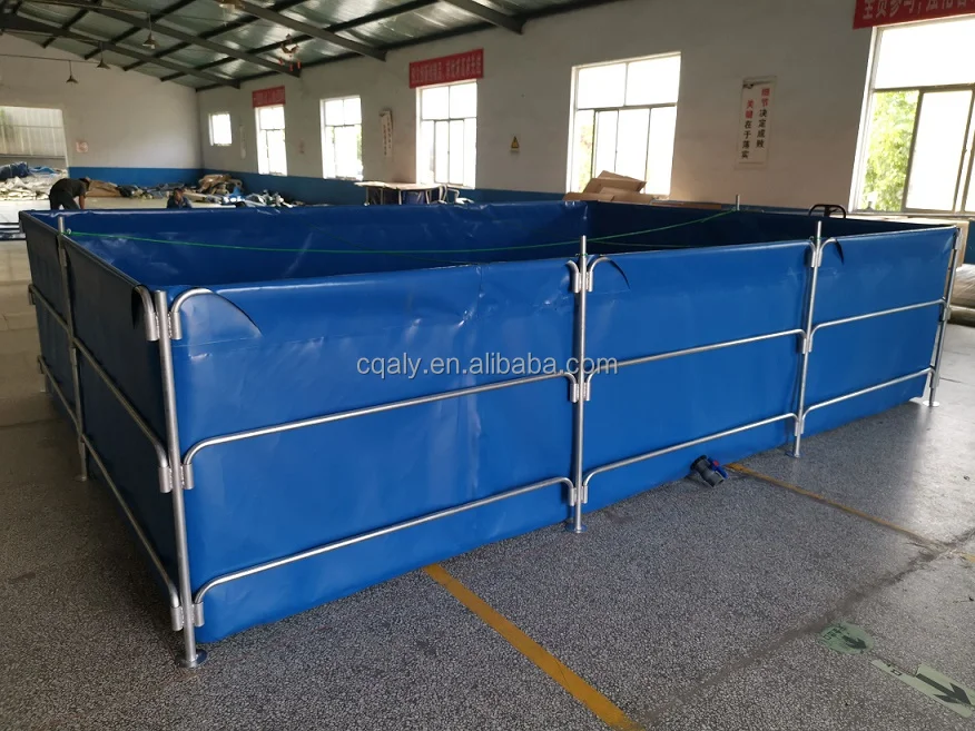 Biofloc Vs Ras: Efficient Aquaculture Systems for Shrimp & Fish