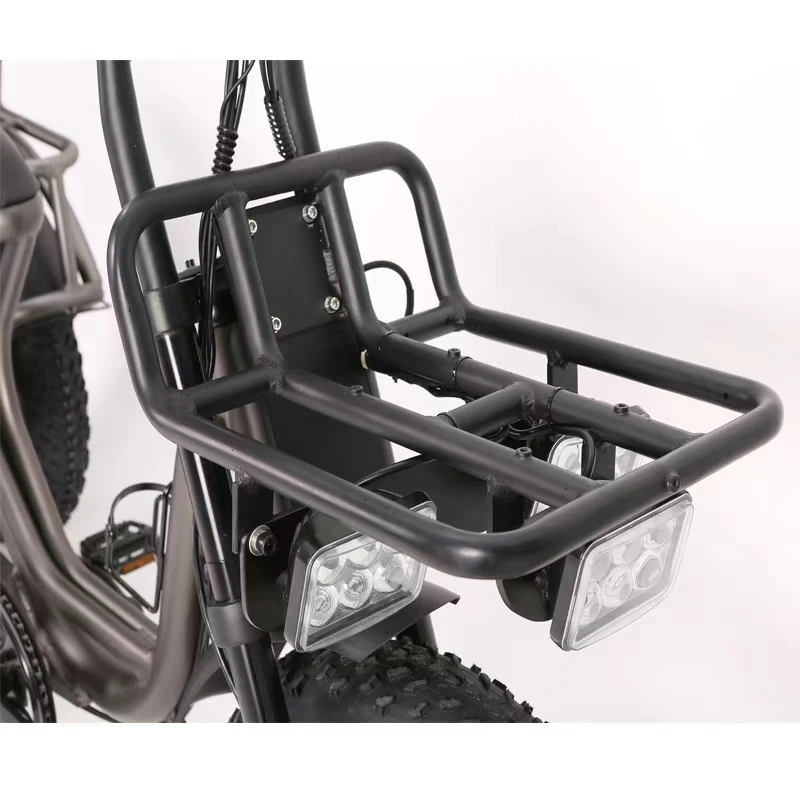 Versatile Electric Tricycle with 48V 500W Dual Motor20 Inch Fat Tire ...