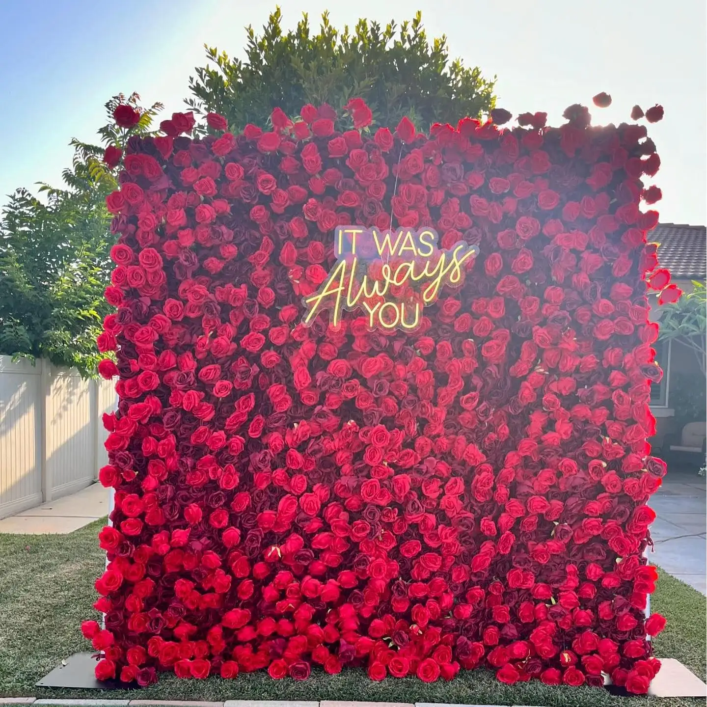 Customized High Quality Flower Wall Backdrop 5D Rose Flower Wall for ...