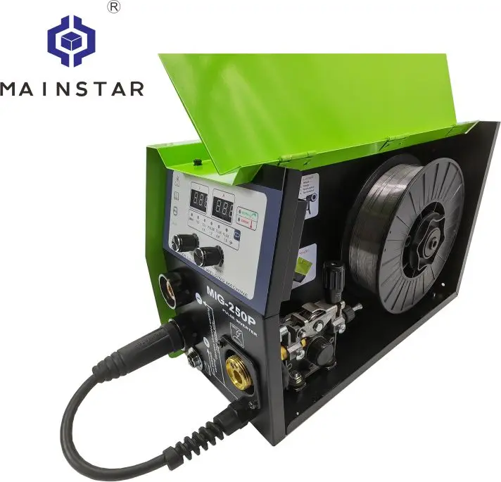 Mainstar Portable Mig Welding Machine 110v 220v Mig Mag Mma Pulse Mig ...