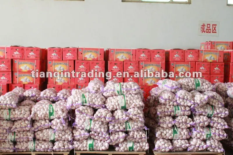 Jining Factory Export Pure White Fresh Garlic Price Fresh and High ...