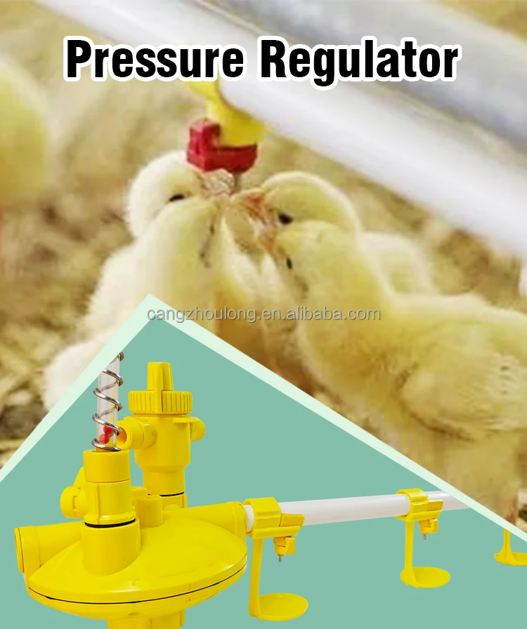 Zb Lml 70 Broiler Chicken Nipple Drinking Water Line Pump Pressure ...