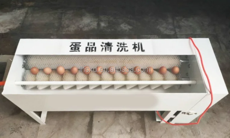 Efficient Egg Washing with the Automatic Egg Machine