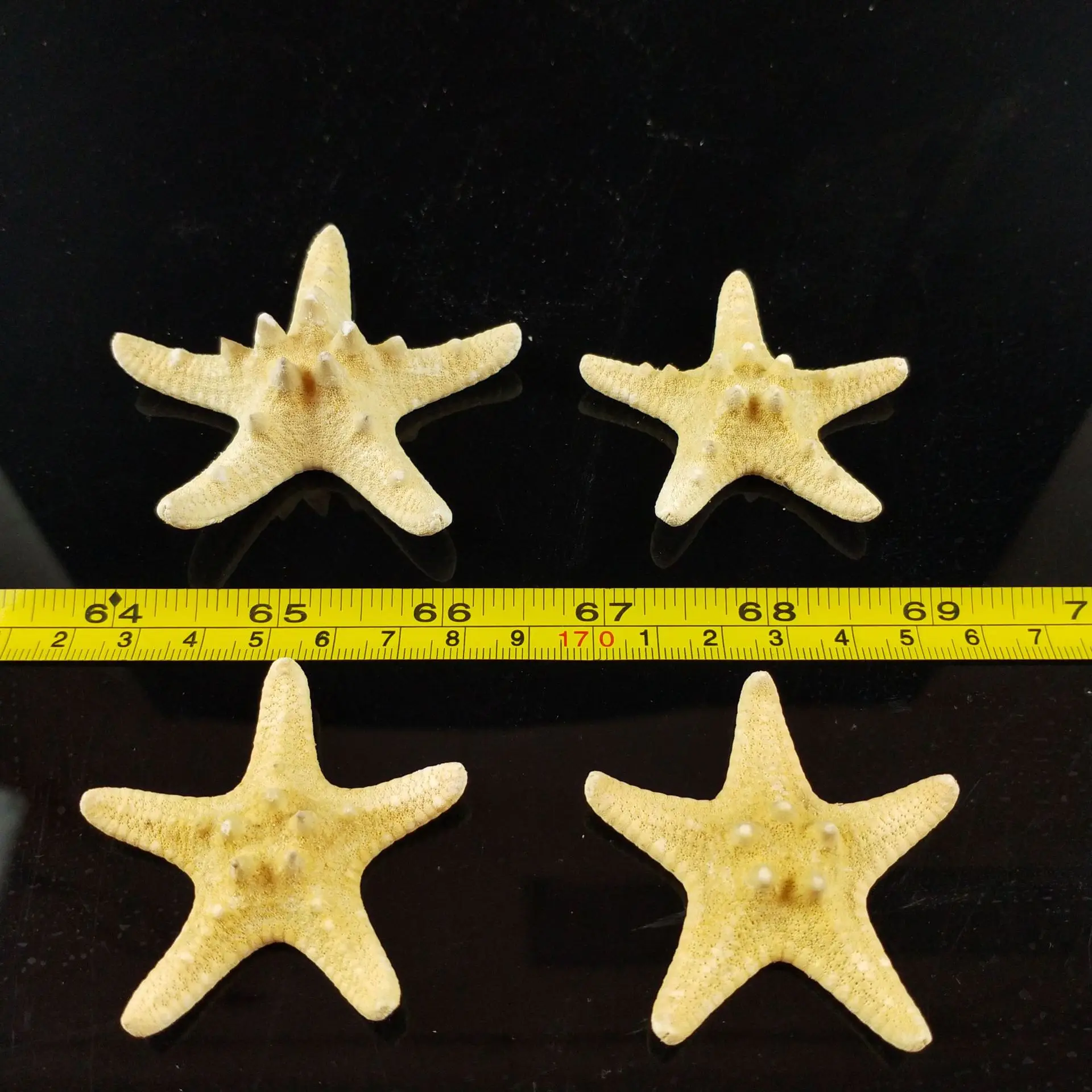 Natural Yellow Seashell Starfish Shell Crafts For Home Decor - Buy ...