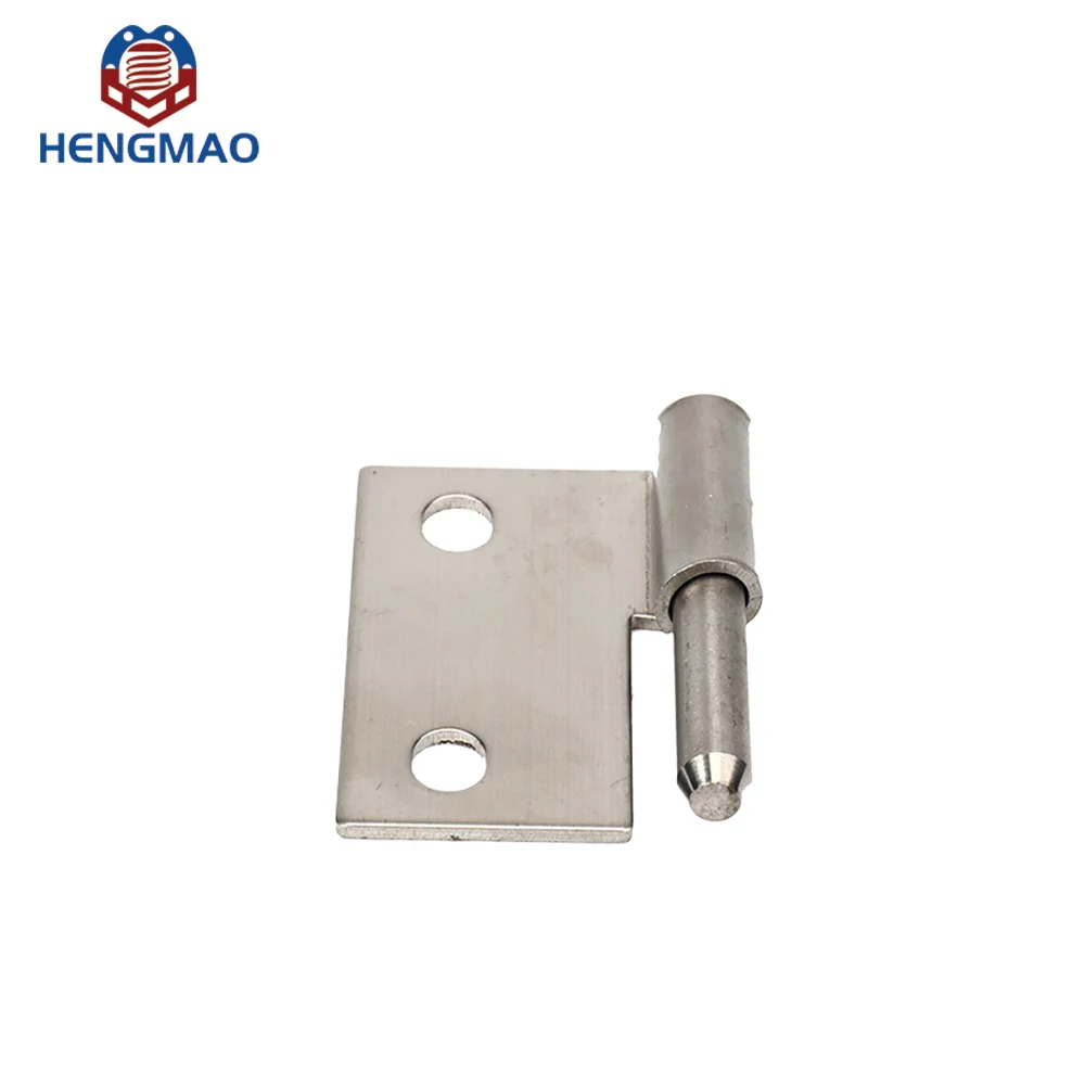 Factory Price SS Right Side Lift Off Hinges With Holes Removable Lift ...