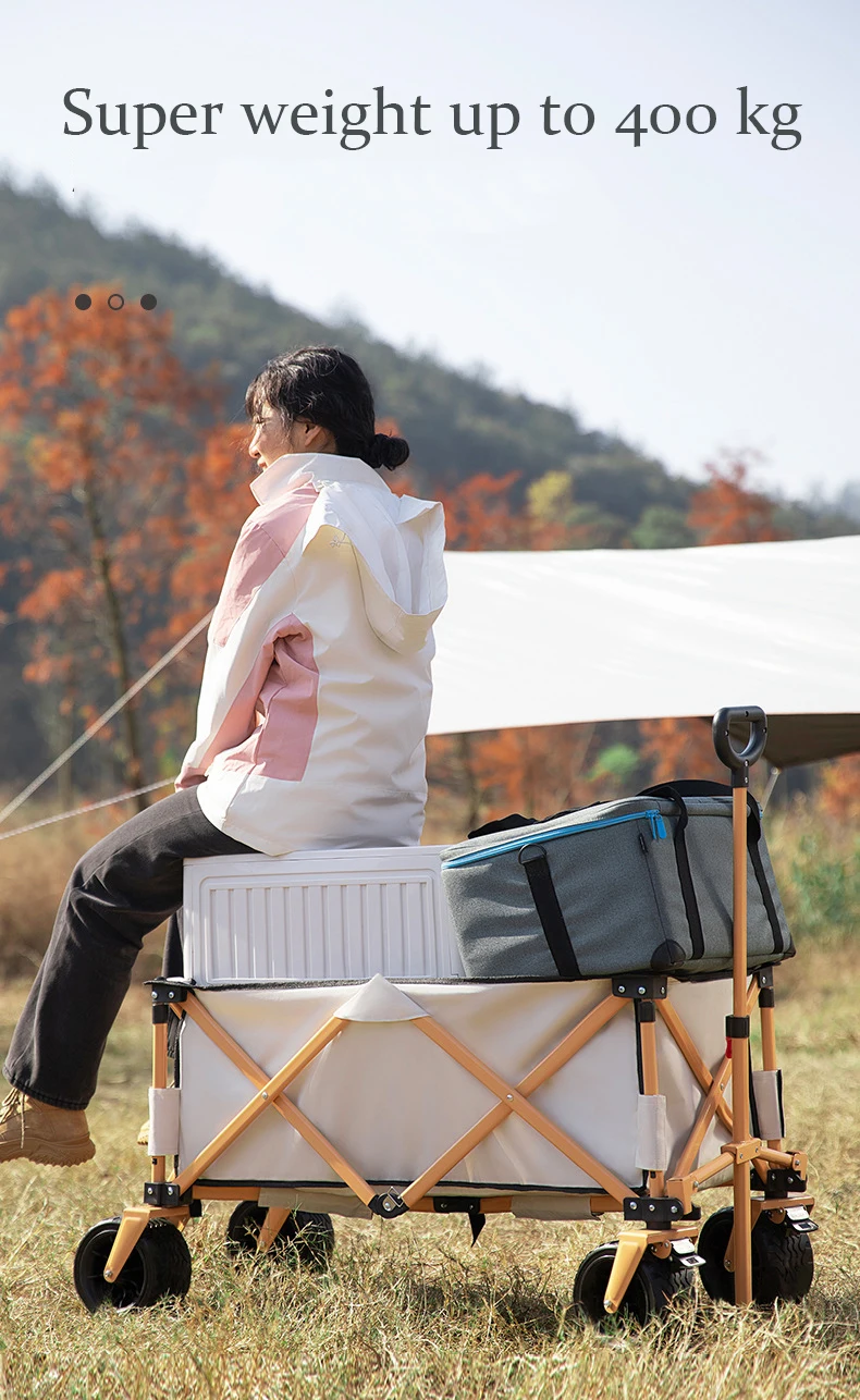 Outdoor Garden Multifunctional Folding Camping Cart Double-deck ...