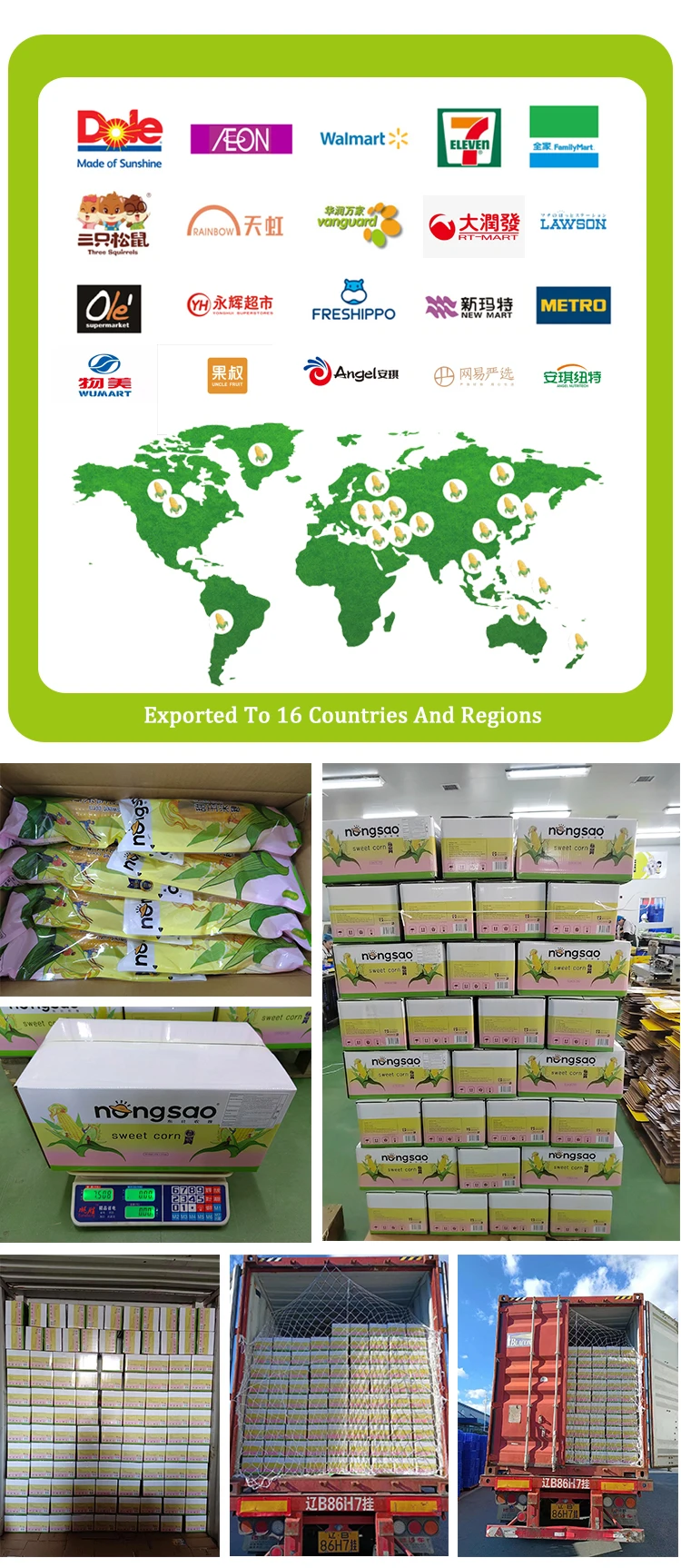 Fresh Style Organic Frozen Sweet Corn Kernels Yummy GMO-Free Snacks ...