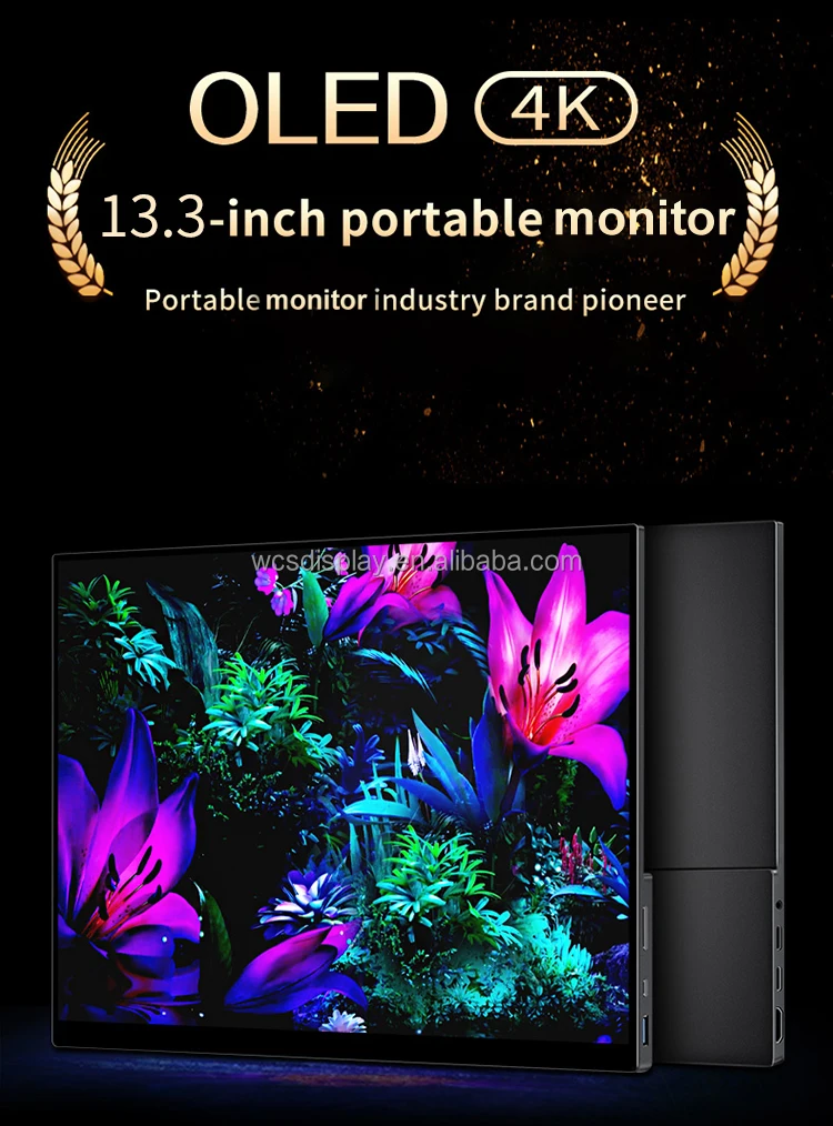 13.3 Inch 4K OLED Touch Screen Portable Monitor - Anti-Blue Light for ...