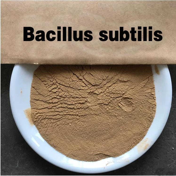Bacillus Subtilis Aquaculture Technology For Animal Health Improve ...