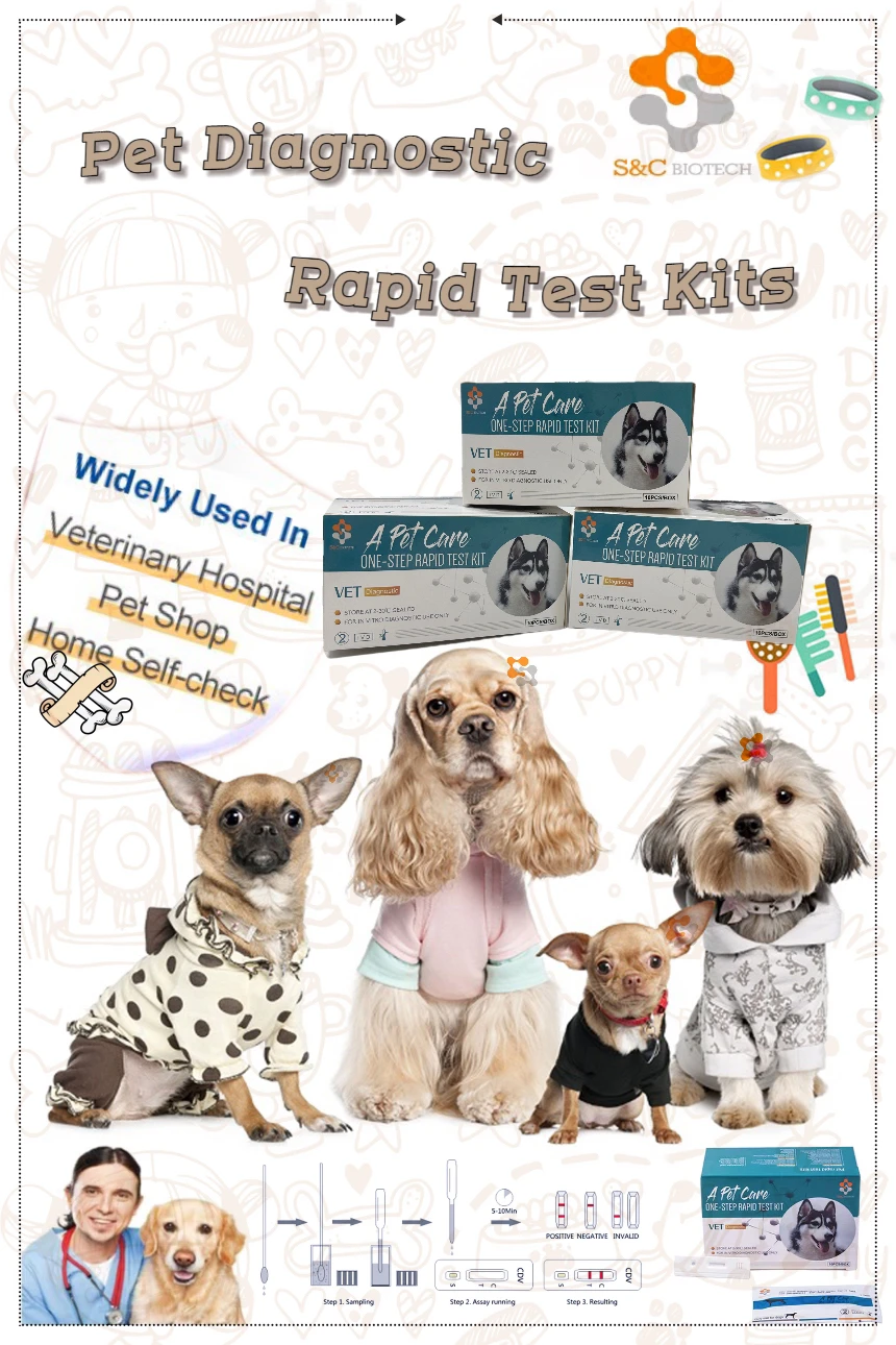 ISO Approved Veterinary Supplies - Rapid Test Kits for Dogs