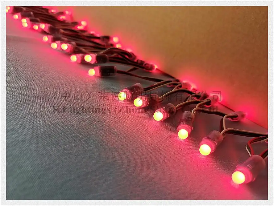 Waterproof IP67 WS 2811 LED Pixel Light Module Exposed Light String ...