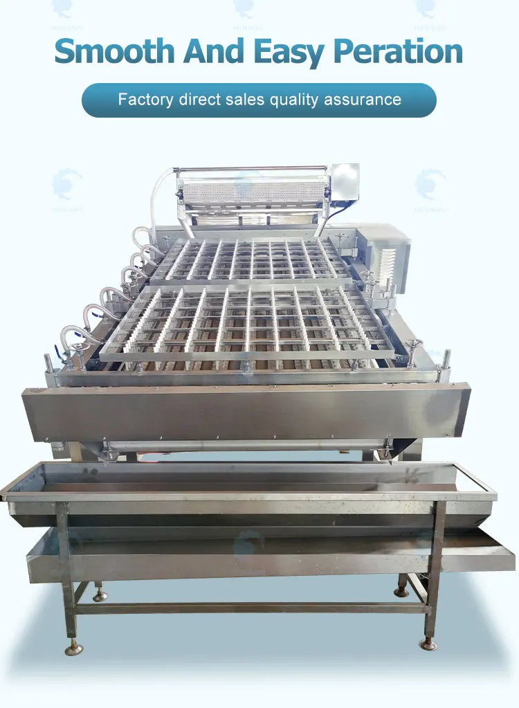 Stainless Steel Shrimp Peeling Machine - Efficient & Durable