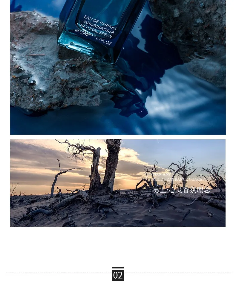 Wilderness Men's Perfume - Woody Scented Unisex Fragrance