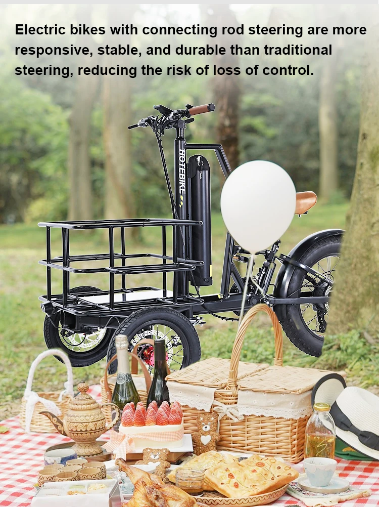 48v 500w 750w Mini Ebike Adult Electric Tricycle Family Cargo Electric ...