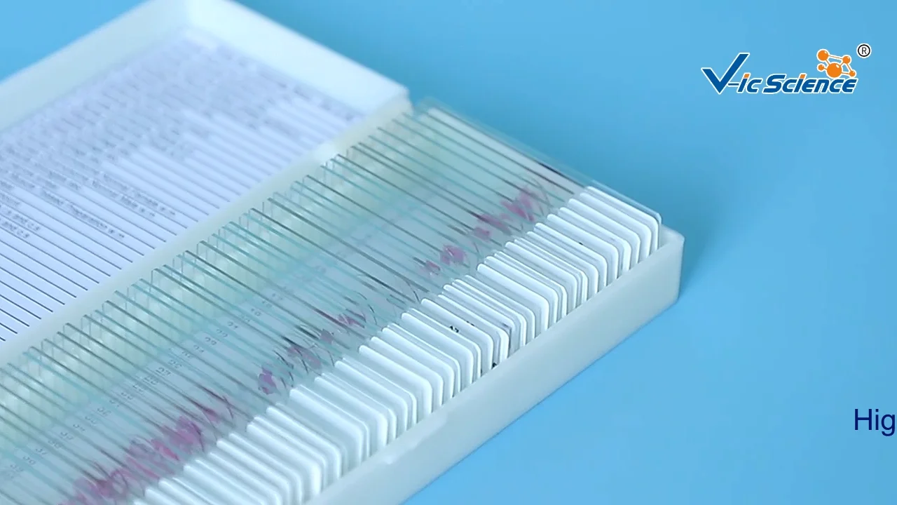 Microscope Hematology Glass Slides Blood Smear Prepared Slides Medical ...