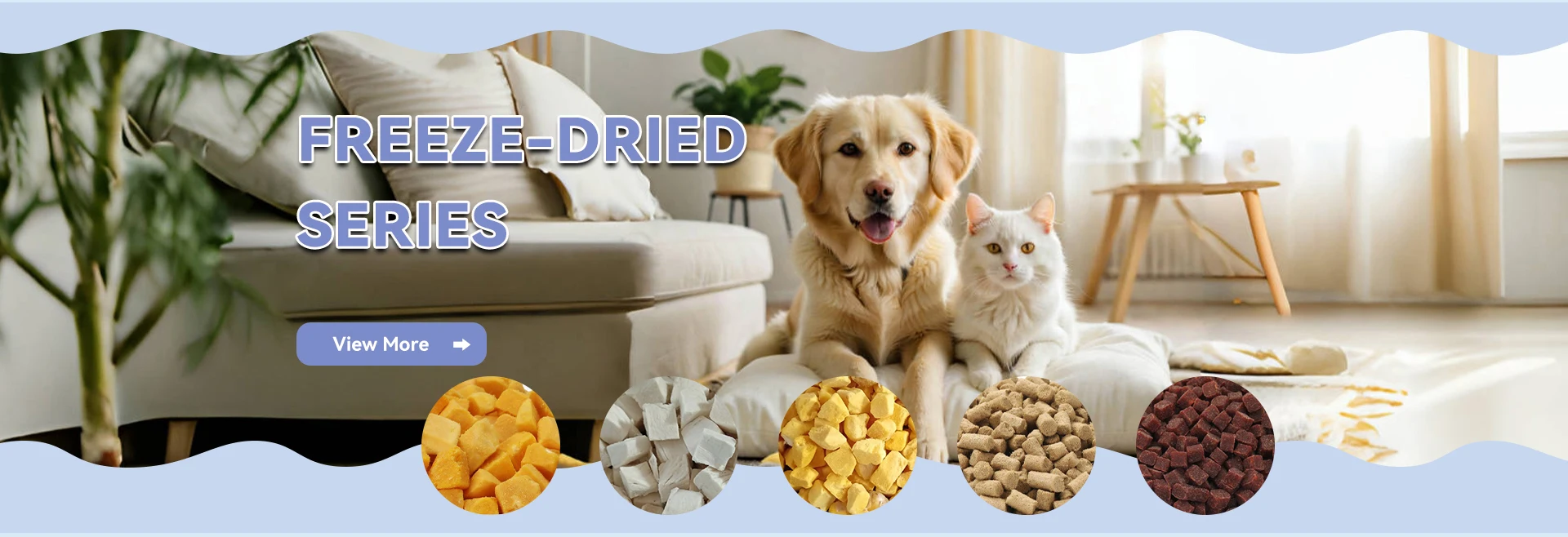 Company Overview - Hebei Muzan Pet Food Co., Ltd.