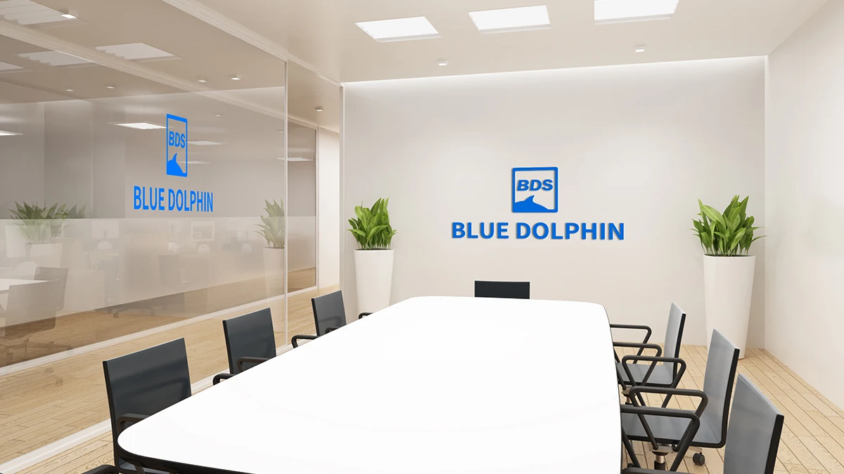 Company Overview - Blue Dolphin (shenzhen) Supply Chain Co., Ltd.