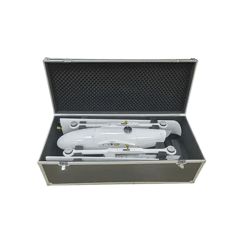 Foxtech Ayk-350 Long Range 5-10kg Heavy Payload Fixed Wing Load Cargo ...