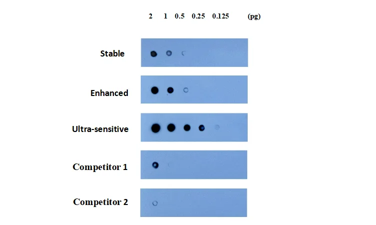 Western Blot Elisa Subtrate Luminol Ecl Luminescence Reagent Hrp ...