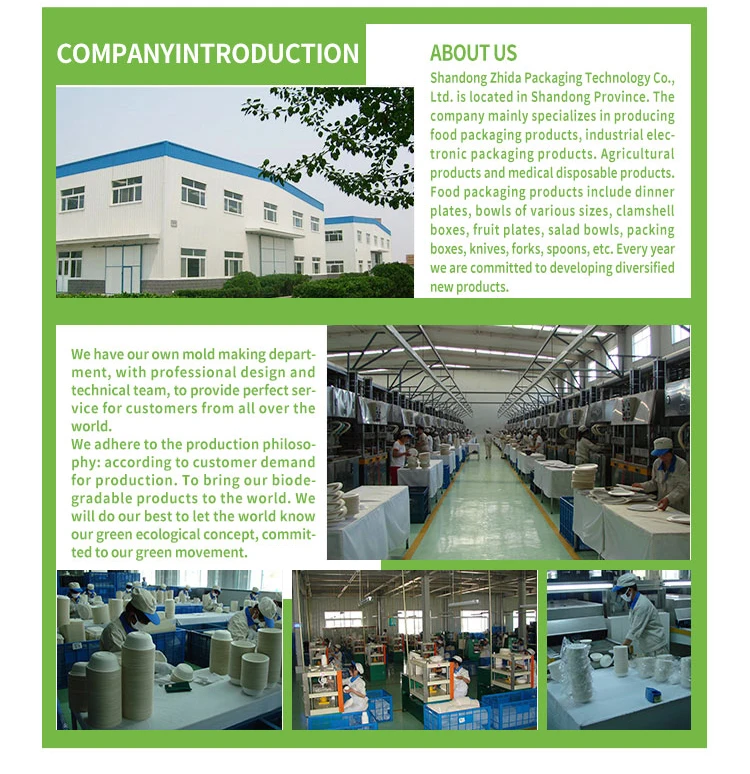 Biodegradable Disposable Sugarcane Bagasse Paper Pulp Lunch Fast Food ...