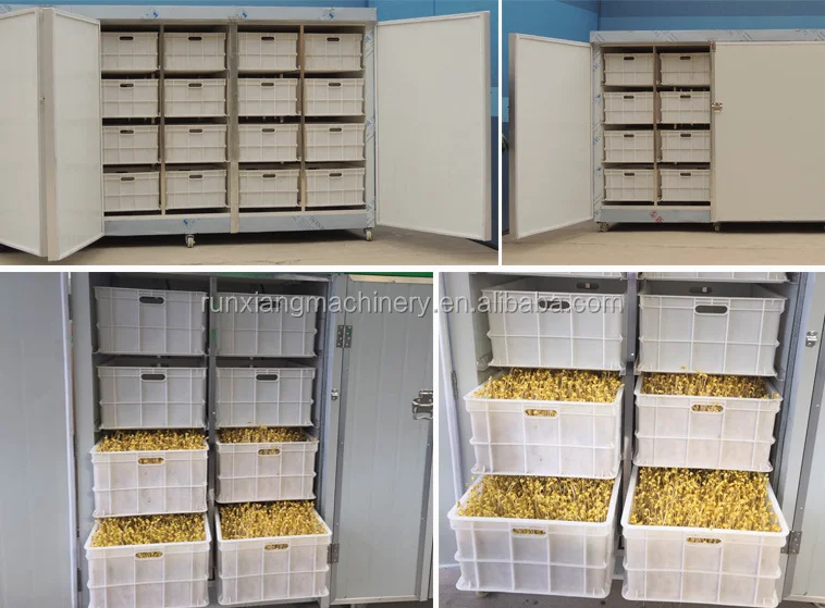 250kg/day Bean Sprout Growing Machine/sprouts Growing Equipment ...