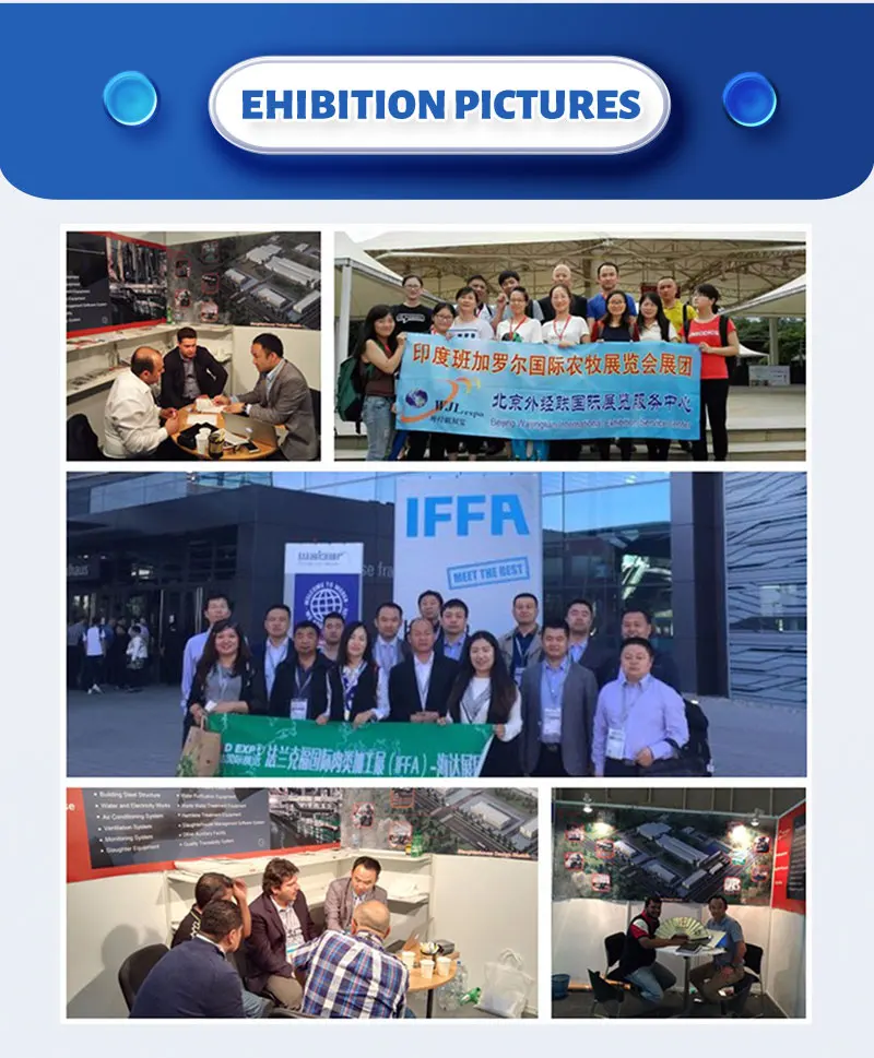 Completed Production Goat Livestock Halal Sheep Abattoir Slaughter Line ...