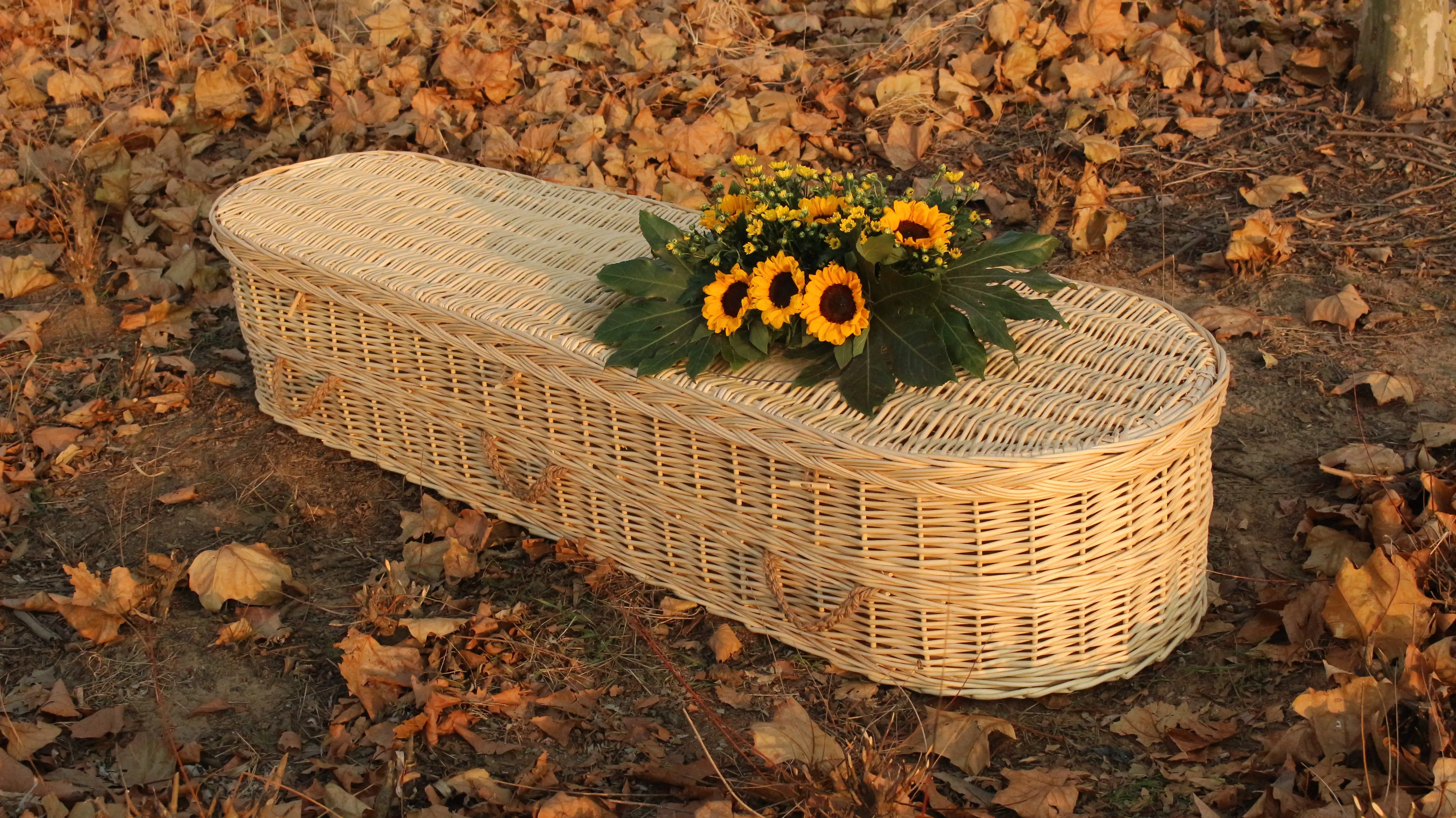 Western Types Of Coffin Wicker Coffin Adult Coffin - Buy Wood Coffin ...