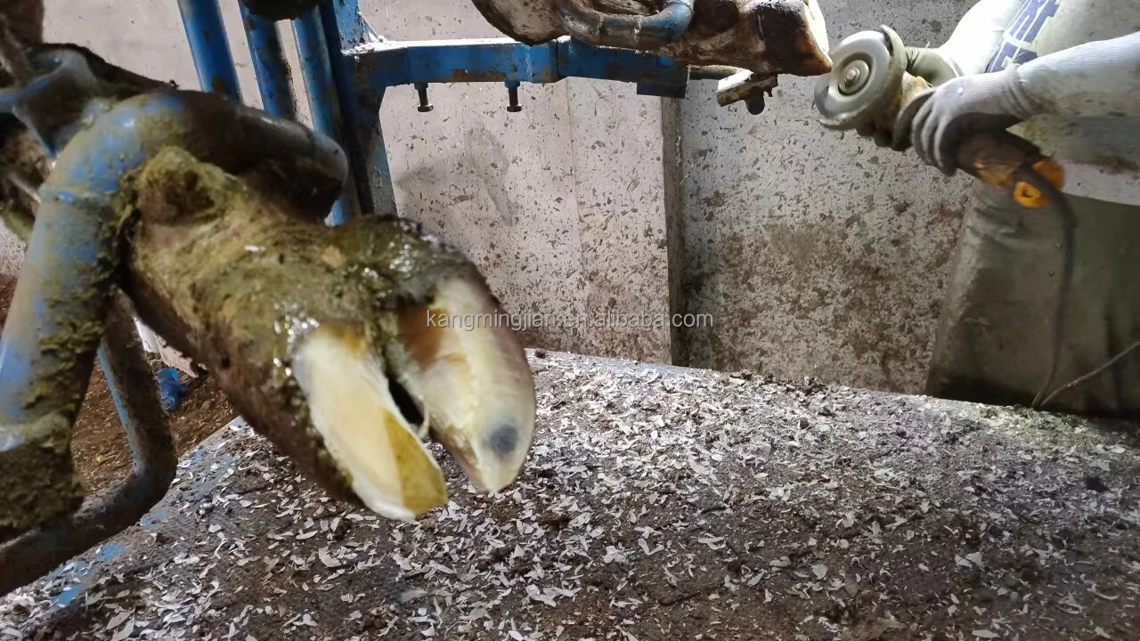 Cow Electric Automatic Hoof Trimming Cutter Livestock Trimmer Hooves ...