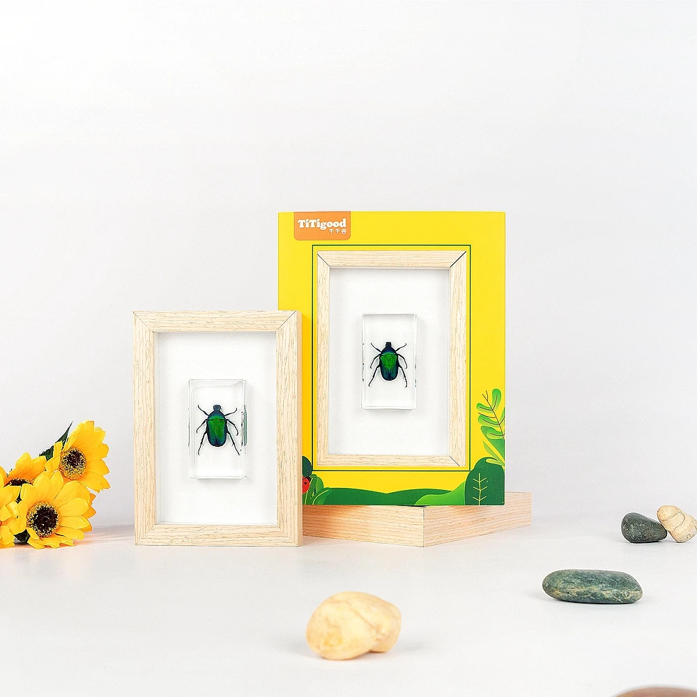 Cheap Stuff Under 1 Dollar Cubic Scope, Real Insect Collection, Resin ...