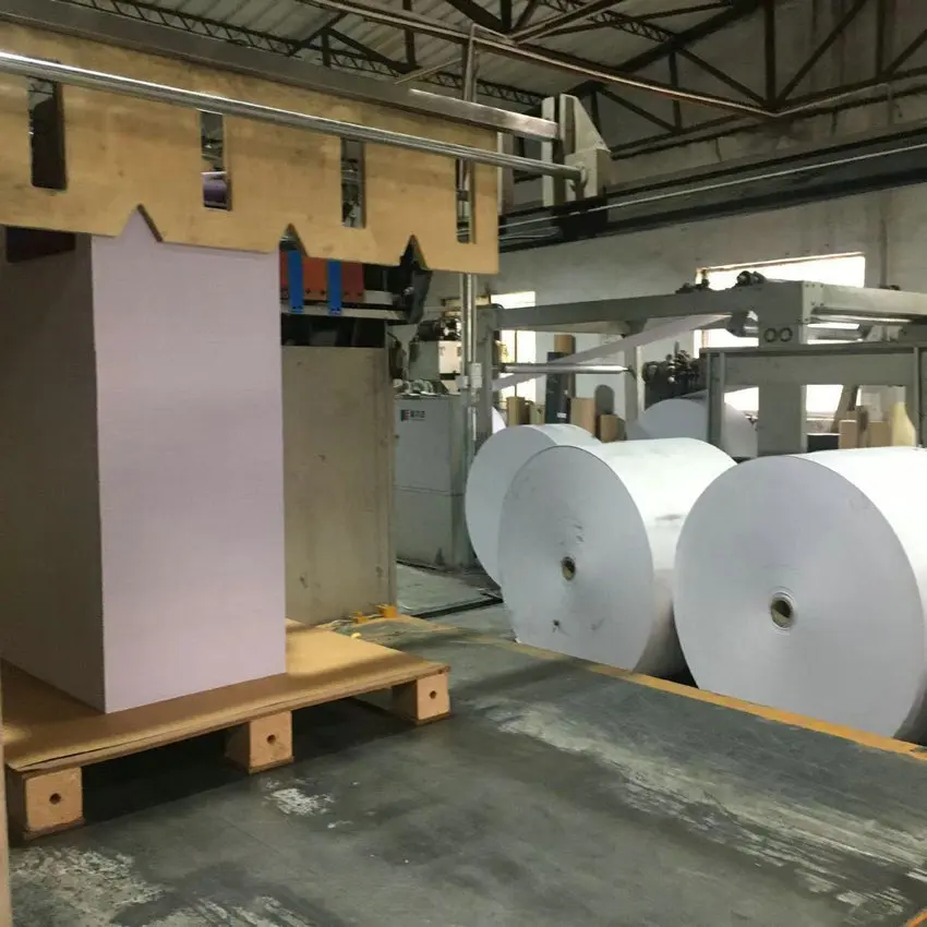 Premium 2 Ply Continuous Carbonless Computer Copy Paper For Dot Matrix ...