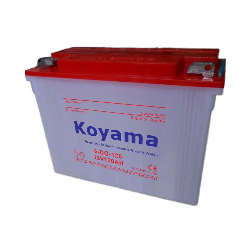 Auto Rickshaw Battery For Sale 6-dg-120a Dry Charged Rickshaw Battery ...
