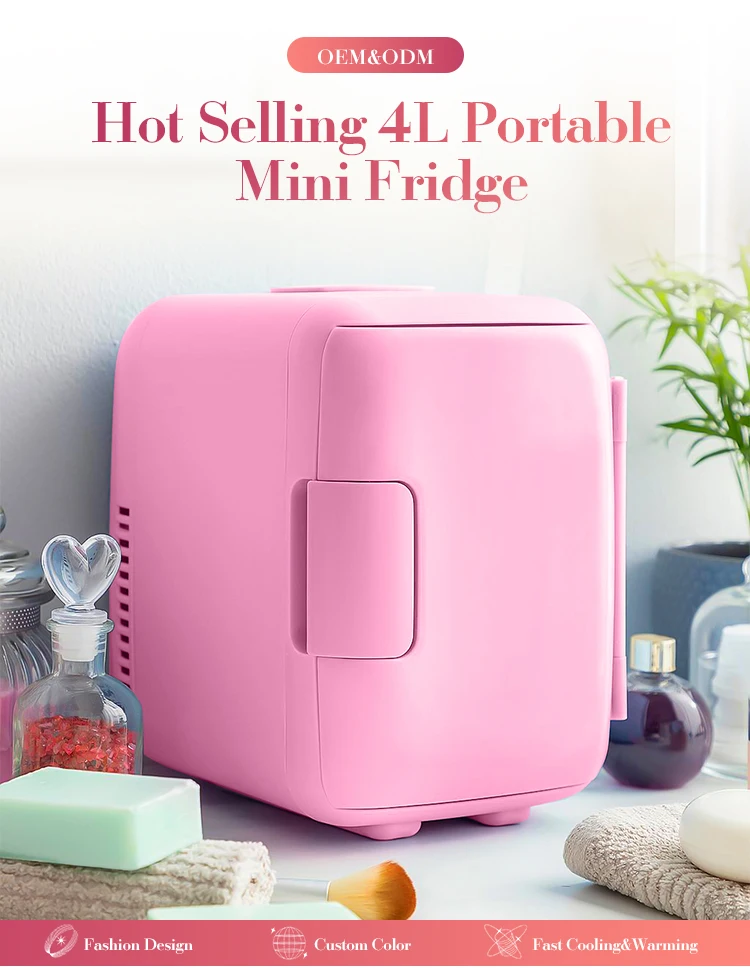Supplier 4 L Portable Thermoelectric Cooler And Warmer Refrigerator ...
