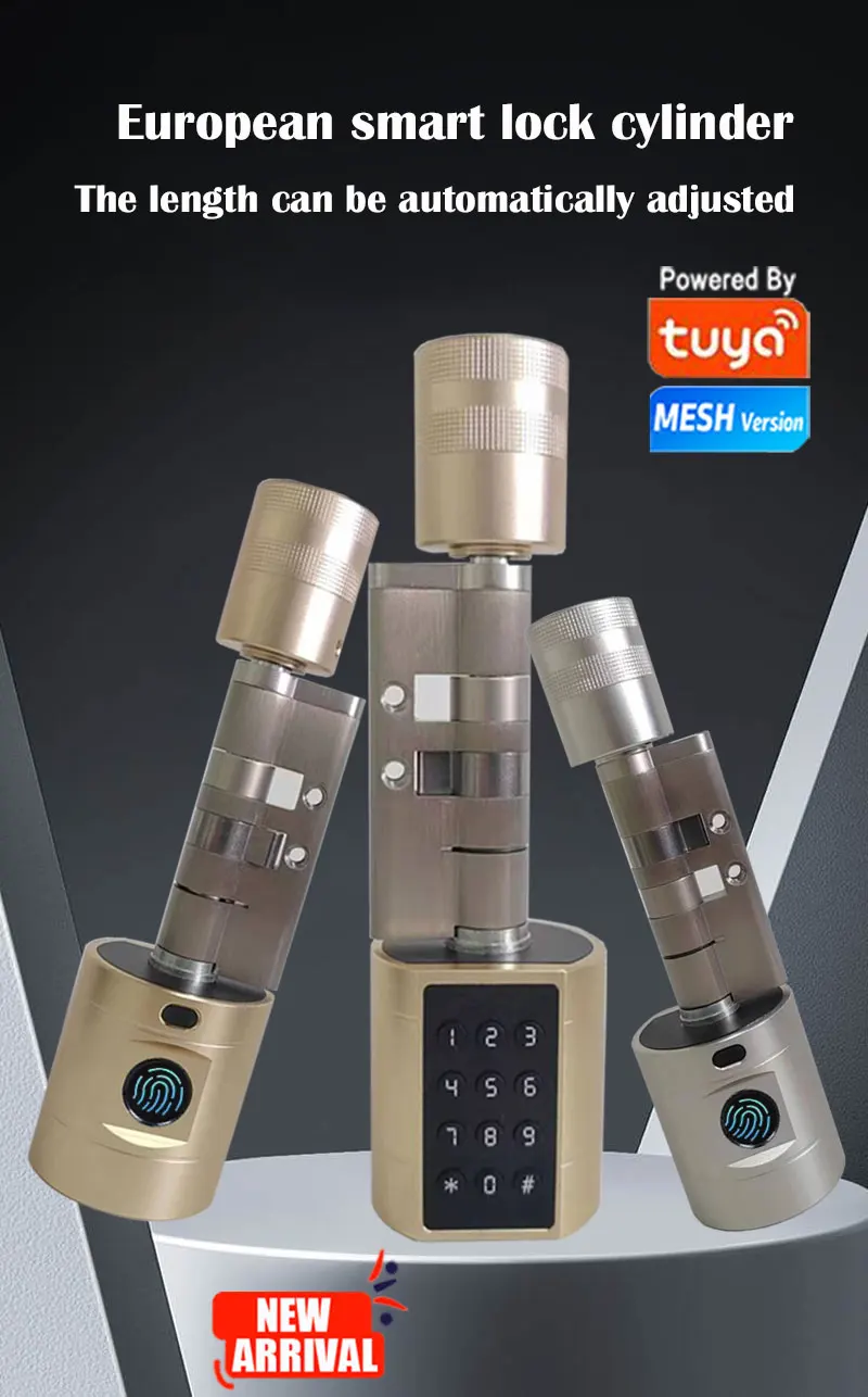 Tuya Smart Fingerprint Cylinder Lock: Keyless Access via Fingerprint ...