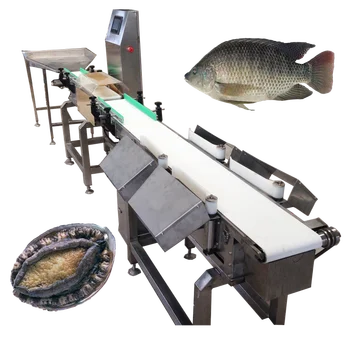 Auto Dynamic Weight Grading Sorting Classifying Machine For Fresh ...