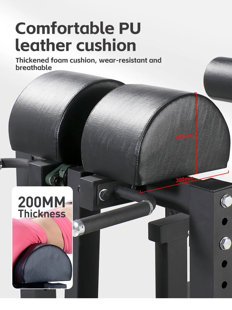 Rectus Abdominis Muscle Exercise - Prone Reverse Leg Lift