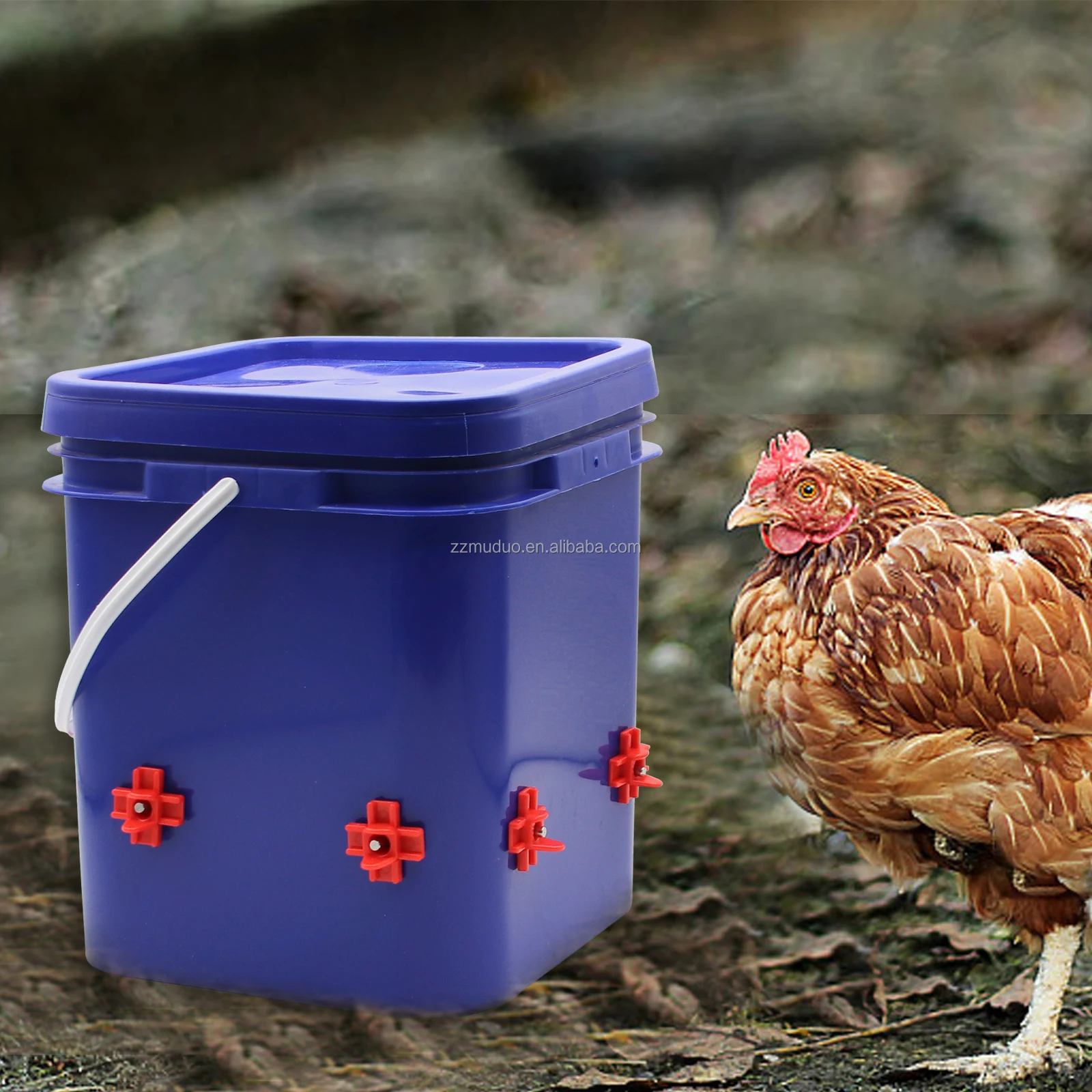 Automatic Chicken Waterer Mini Breeder Bucket Drinker Horizontal Nipple ...
