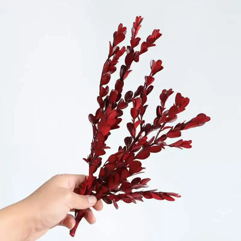 Wholesale Natural Preserved Italian Ruscus Eucalyptus Leaves Bundles ...