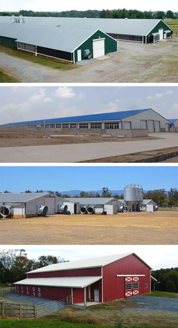 Prefabricated Poultry Farm Construction Plan - Steel Cages