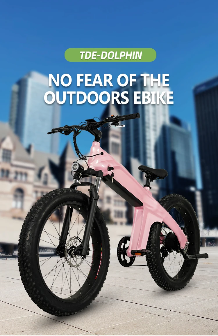 Aimos Ebike Carbon Fiber 48v Electric Bike 1000w Motor