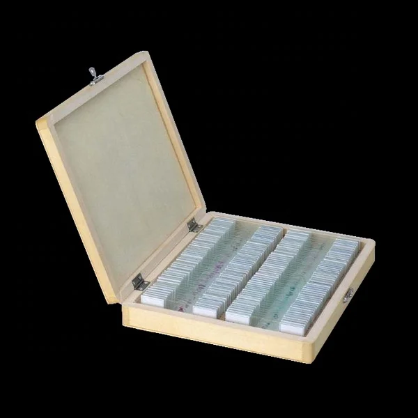 Wooden Glass slide box for Microscope slides| Alibaba.com