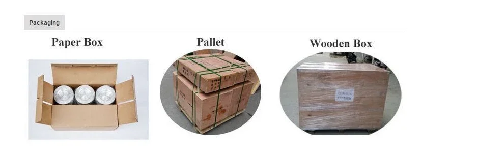 Isx15 Qsx15 X15 Diesel Engine Injector Nozzles 4928264 4088652 4088648 ...