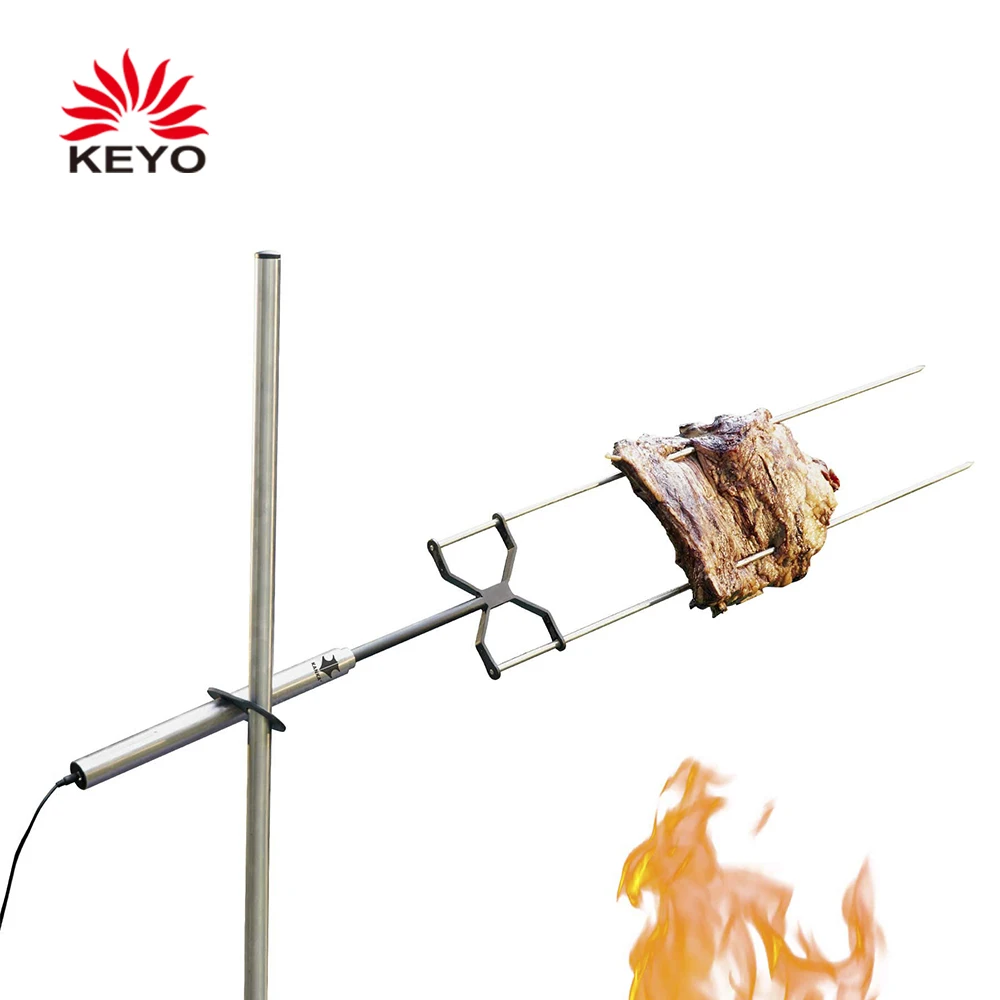 110 120V Electric Motor Outdoor Campfire Pole Lamb Chicken Meat Cooking ...