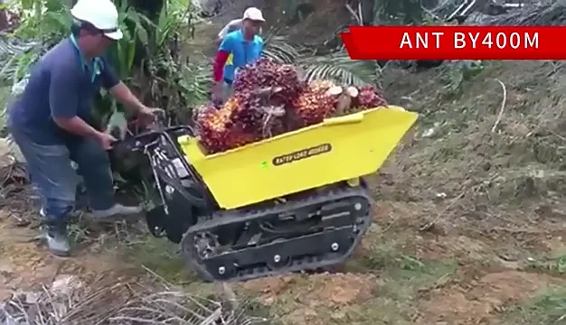 Ant Crawler Power Barrow Dumper Betoniera By400m High-performance ...