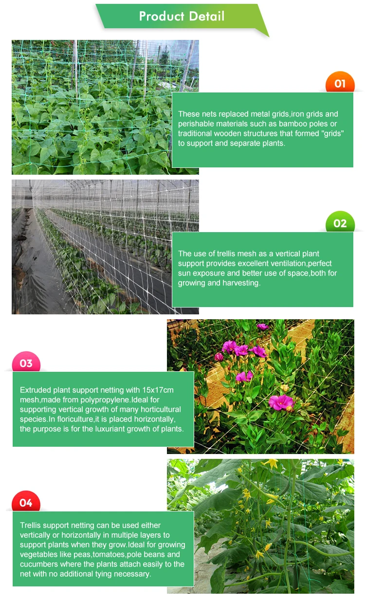 Hdpe Plastic Net For Supporting Growing Vegetables Trellis Netting For ...