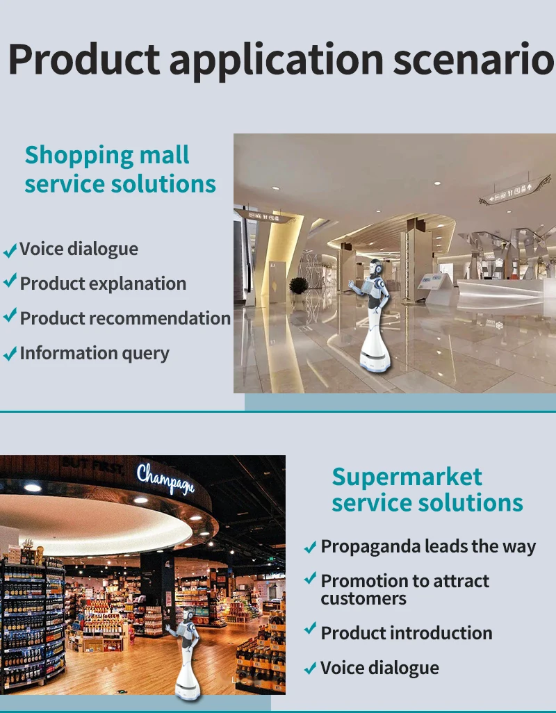 Dreambot - Humanoid Service Robot for Commercial Use